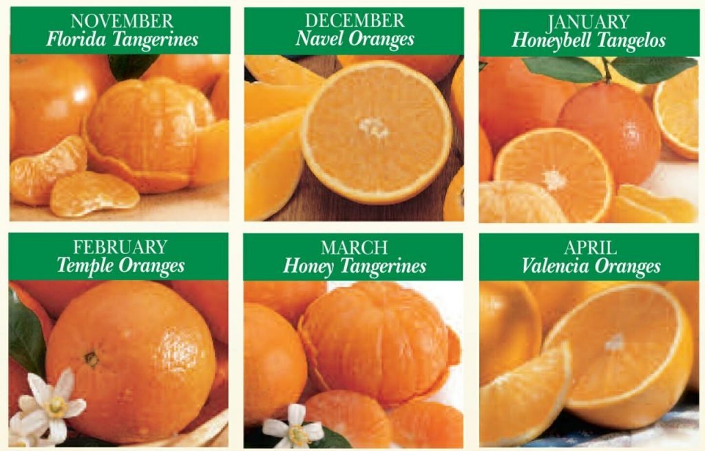 Florida Citrus monthly fruit gift plan